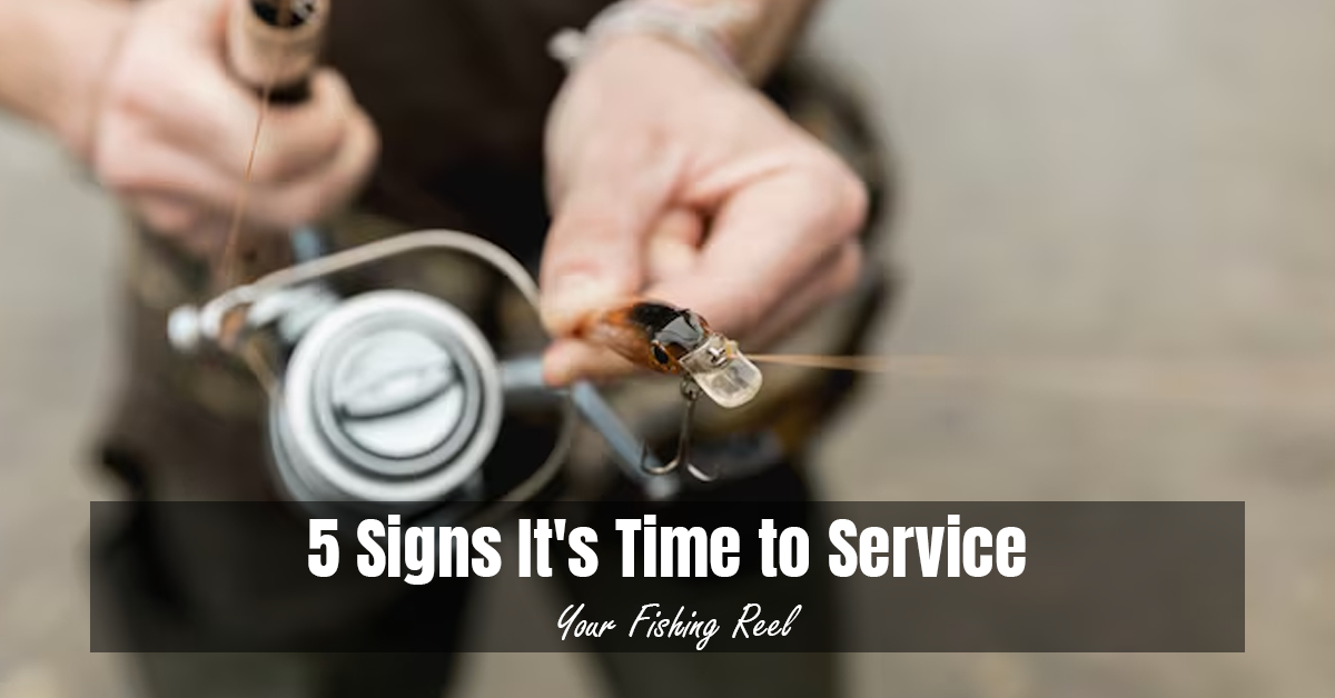 5 Signs It's Time to Service Your Fishing Reel – Ardent Tackle