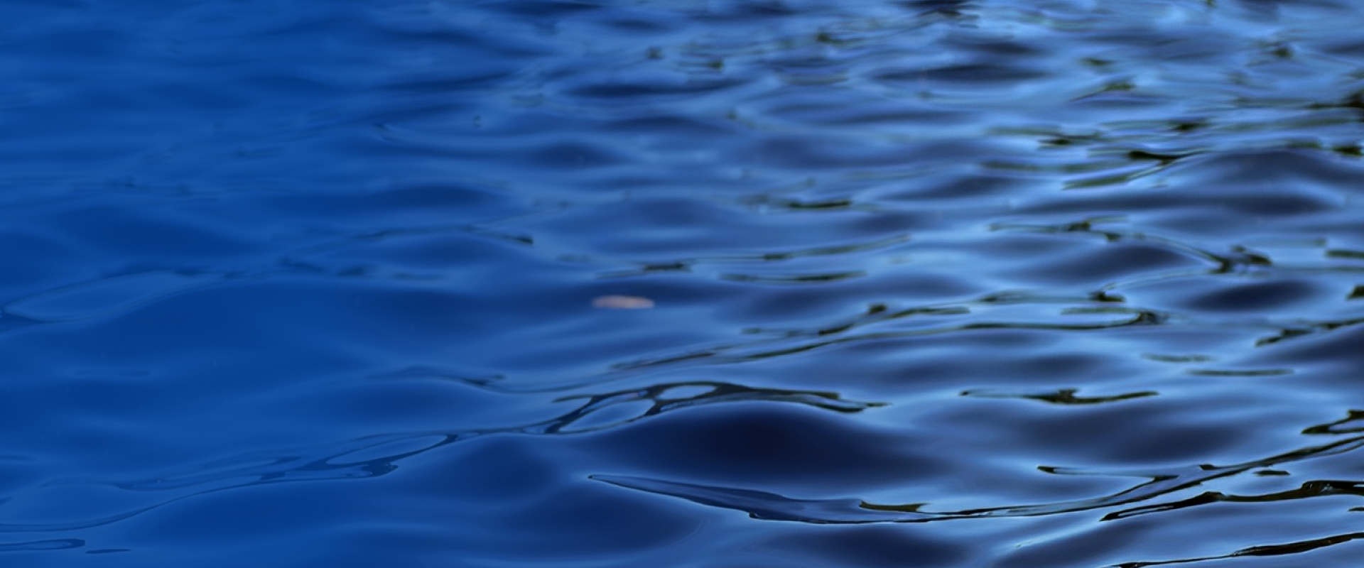Fishing Tackle Loyalty Rewards – How to Earn Big from Your Regular Pur ...